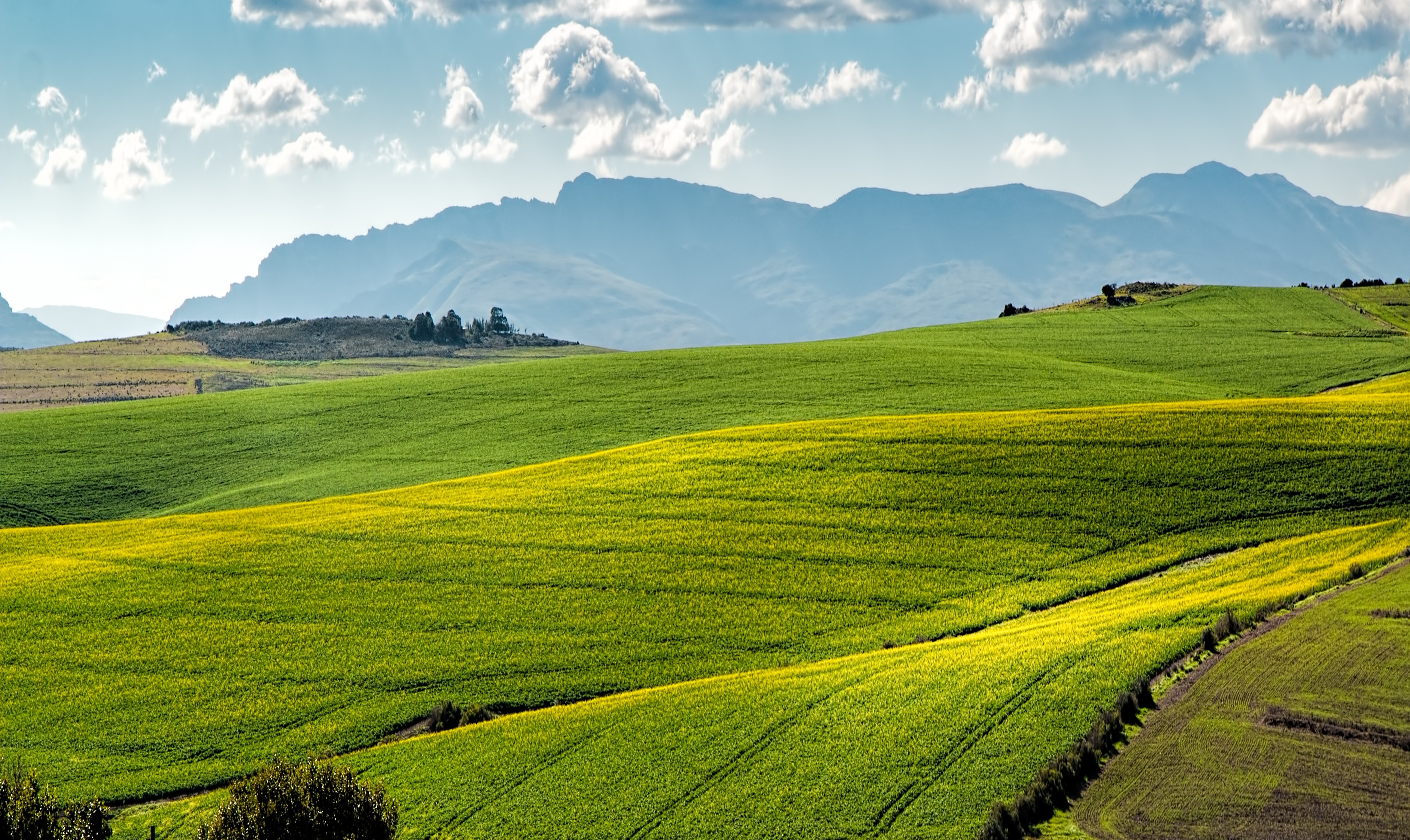 Zoning Issues to Be Aware of Before Buying Farm Land - Homes.com